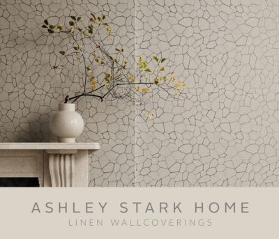 Ashley Stark x Scalamandre