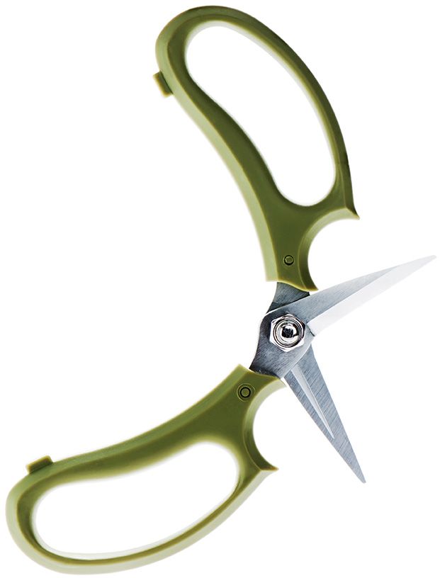 5 Simple, Must-have Tools for Indoor Gardening