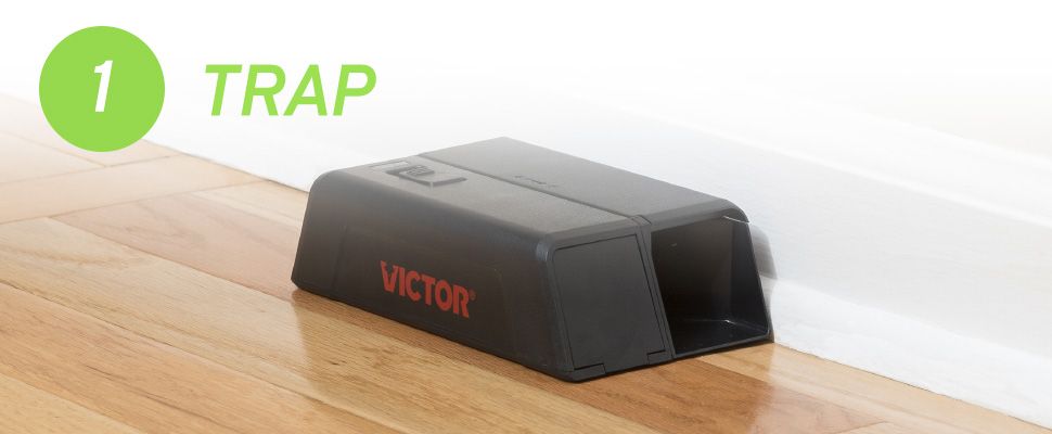 Implementing Integrated Rodent Control