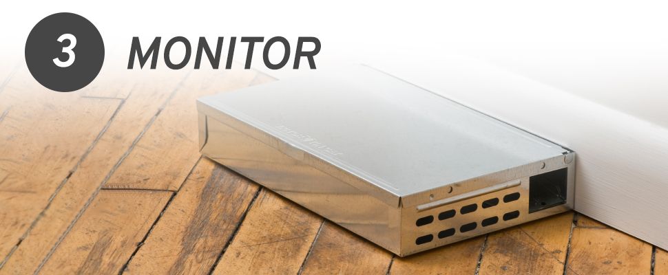 Implementing Integrated Rodent Control