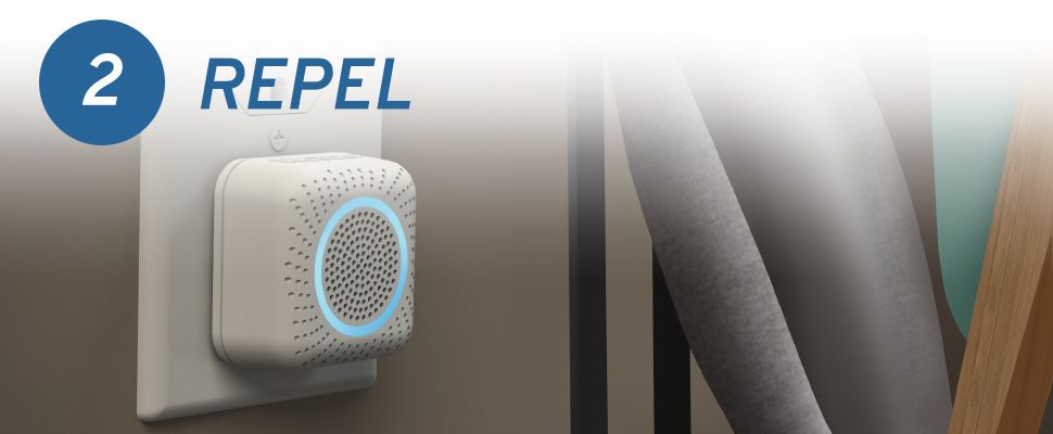 Implementing Integrated Rodent Control