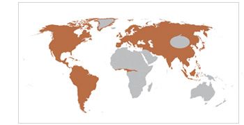 Facts About Deer | Deer Facts | Havahart®